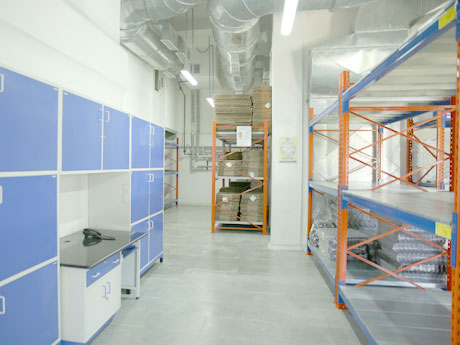 Gallery | Reich India